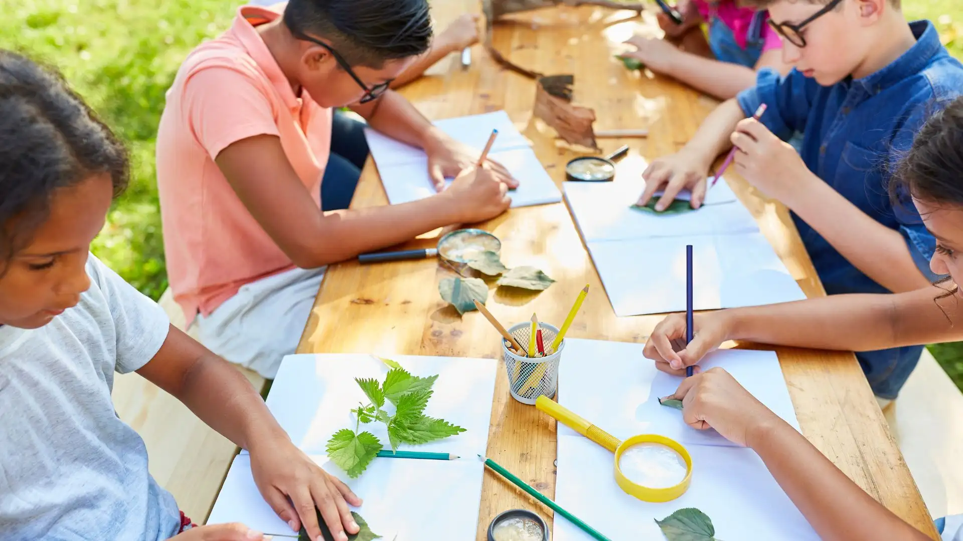 What Age Should Kids Start Autism Summer Camp?